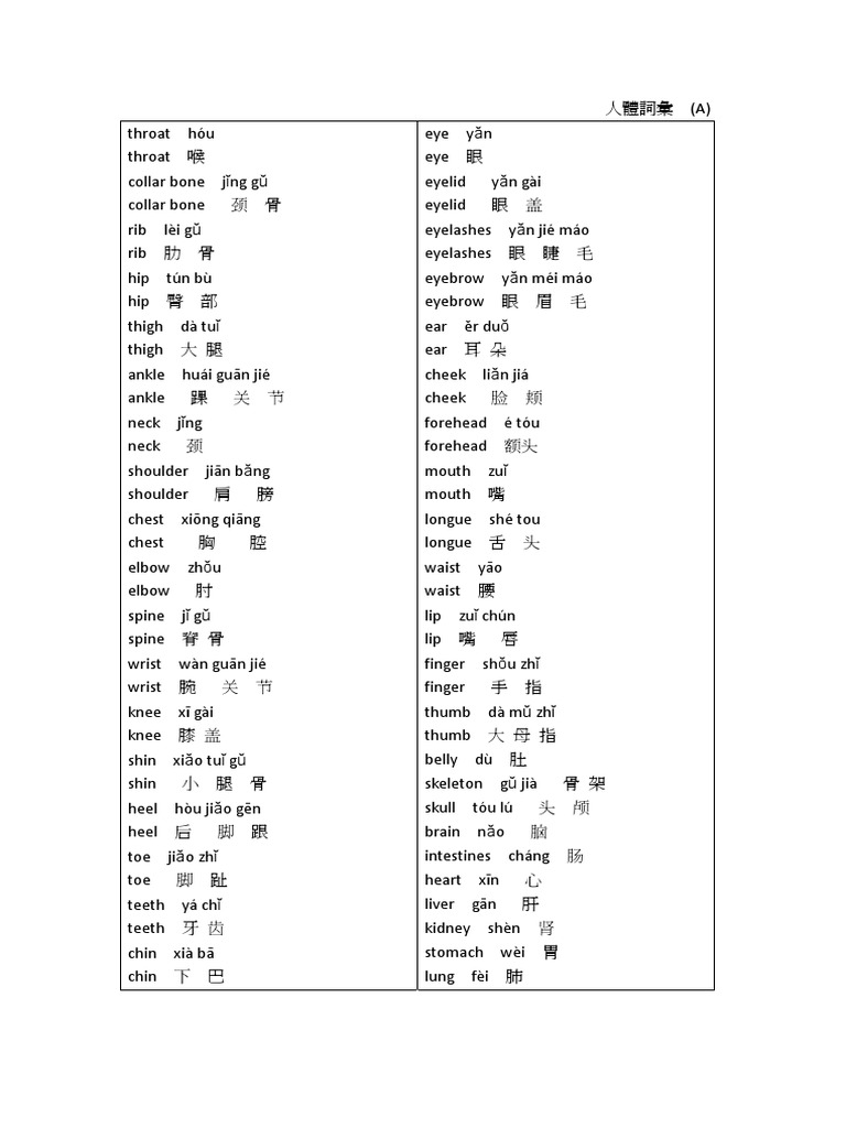 Chinese-Medical Terminology 33023 PDF | PDF | Human Body | Human Anatomy