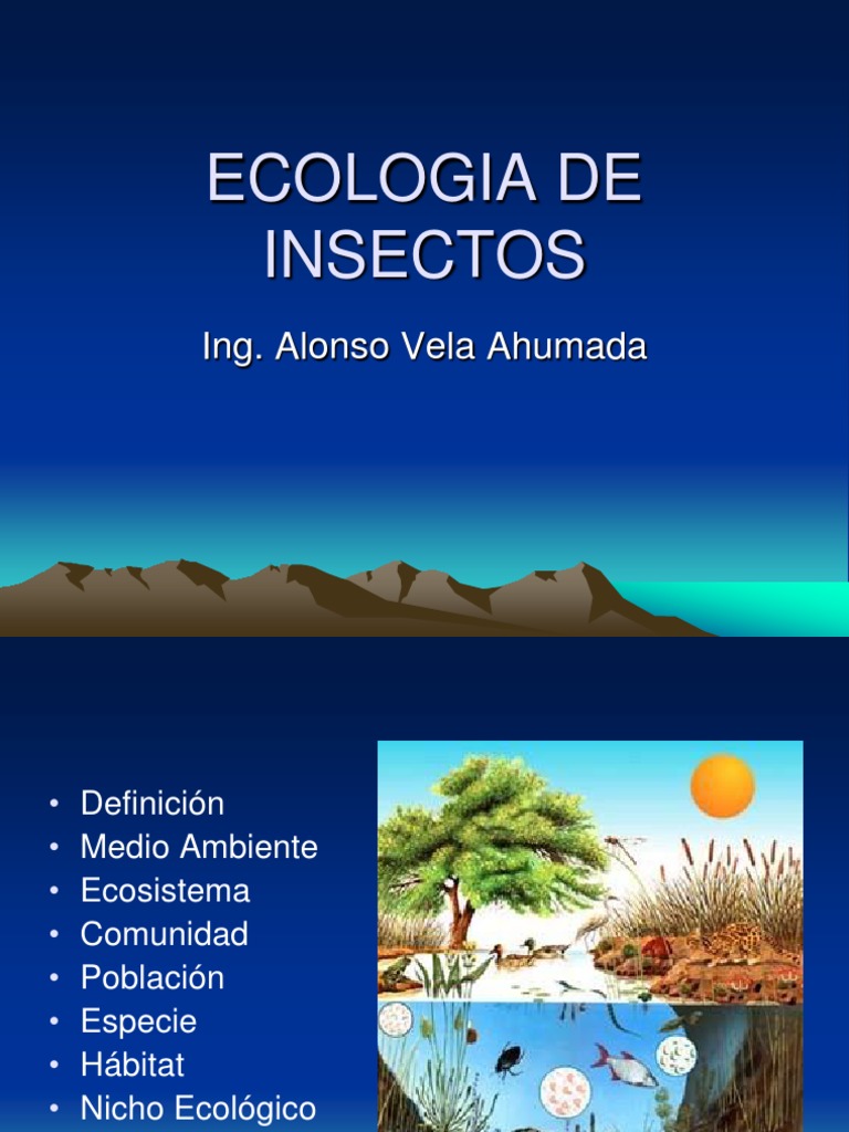Ecologia de Insectos-clases | Hormiga | Insectos
