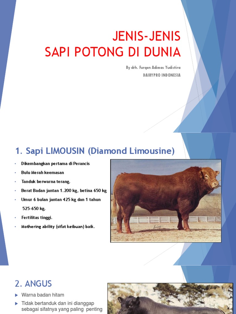 Jenis-Jenis Sapi Potong | PDF