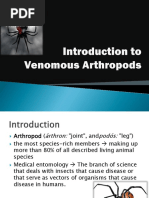 Insect Head Types: Hypognathous, Prognathous, Opisthognathous | PDF