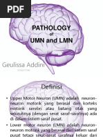 Pathway HNP | PDF