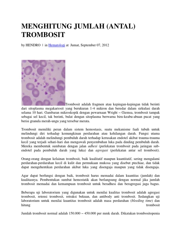 Menghitung Jumlah Trombosit | PDF