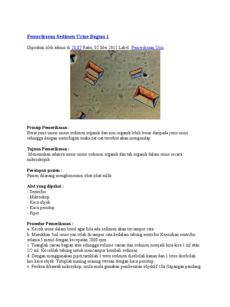 Pemeriksaan Sedimen Urine Bagian 1 | PDF