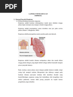 Memahami Sepsis: Definisi, Gejala, dan Komplikasi | PDF