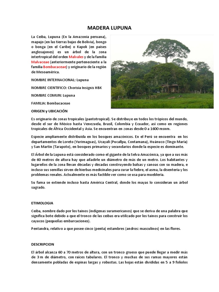 Características y Usos de la Lupuna | PDF | Botánica | Horticultura y ...