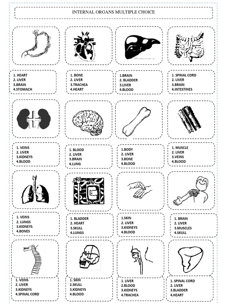 Islcollective Worksheets Elementary A1 Adults Body Parts Body Parts ...