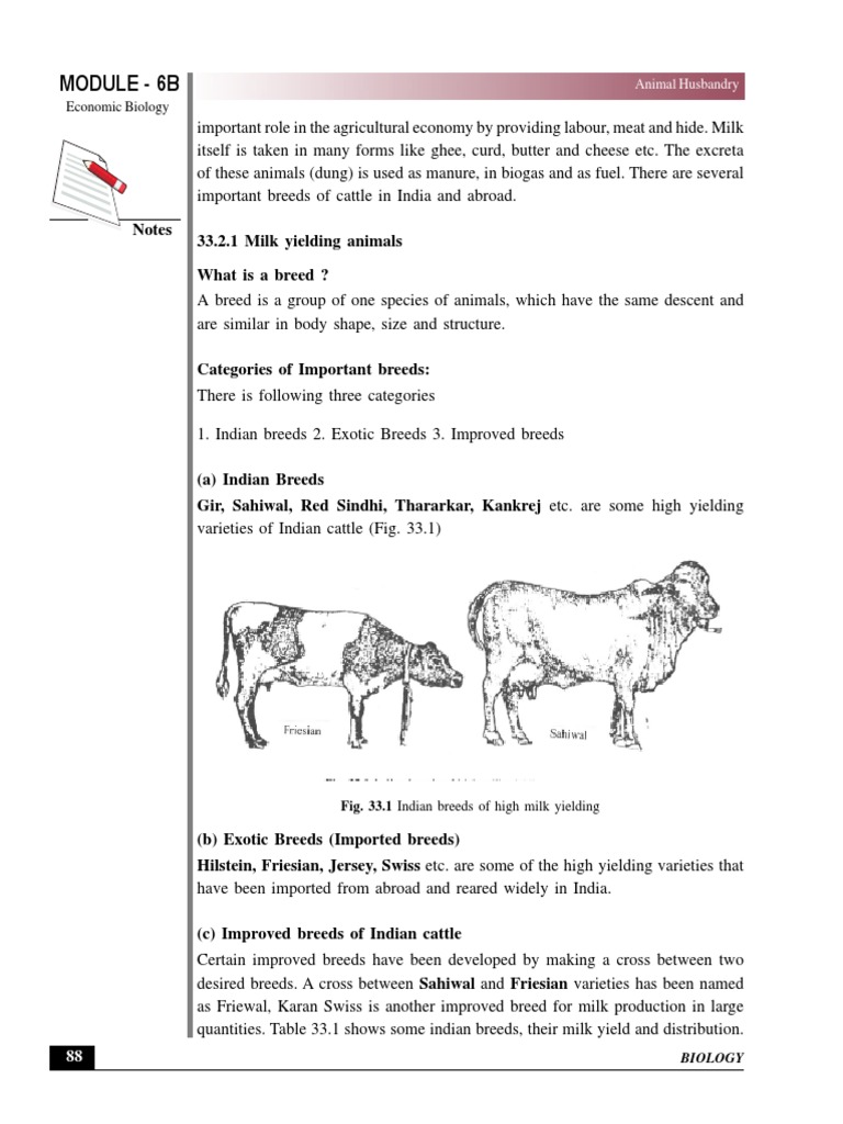 Pages From Animal Husbandary 3 | PDF