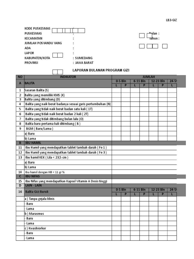 Format Laporan Program Gizi | PDF