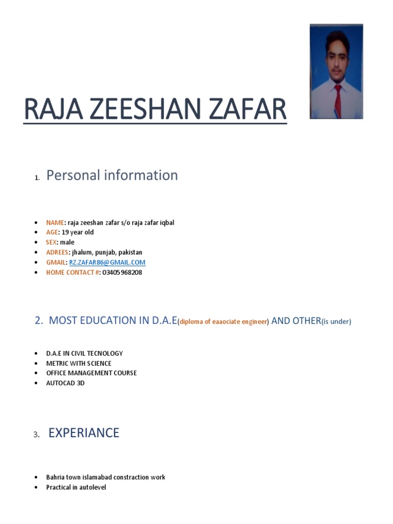 Raja Zeeshan Zafar: Personal Information | PDF