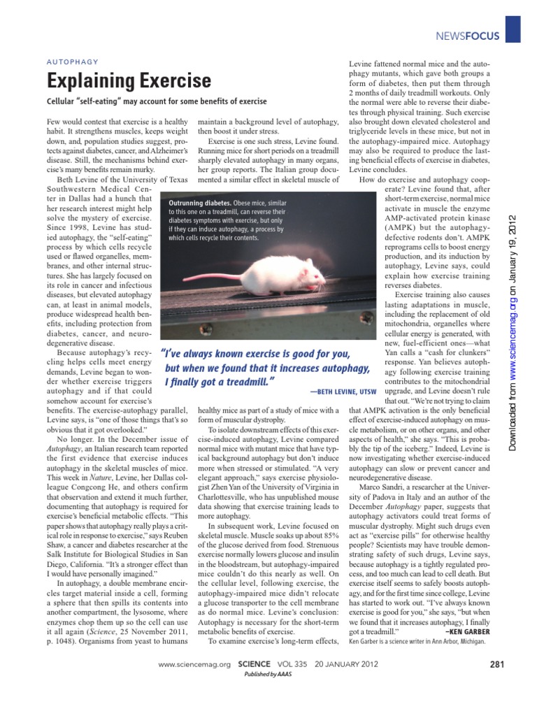 2012 Autophagy Explaining Exercise | PDF | Autophagy | Physical Exercise