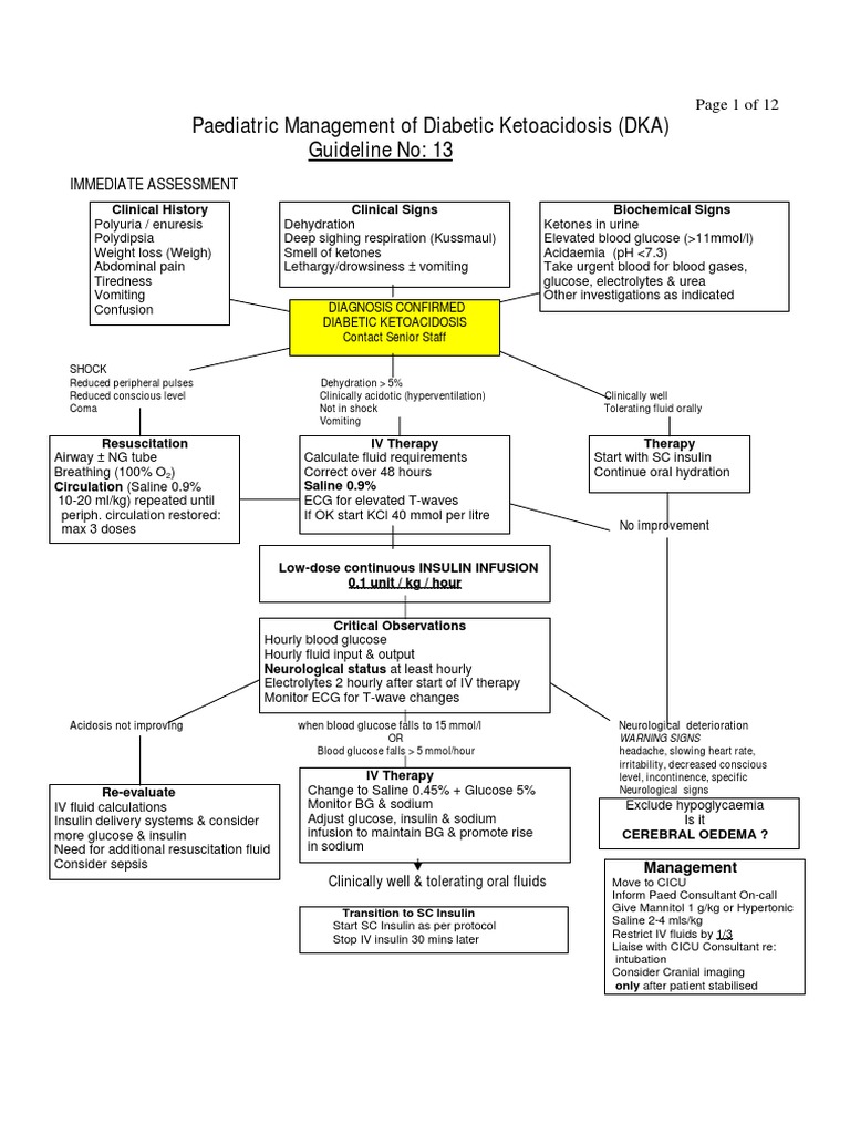 (UHL CHILDREN) Diabetic Ketoacidosis (DKA).pdf | Diabetes Mellitus ...