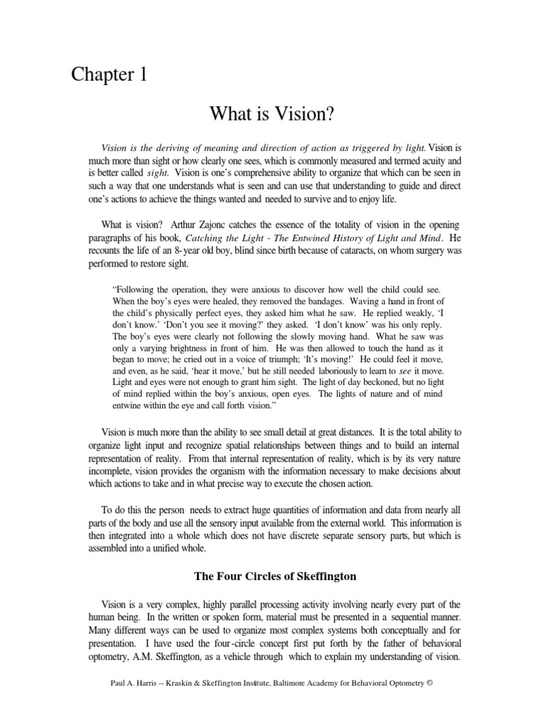 Chapter 1 What Is Vision | PDF | Perception | Attention