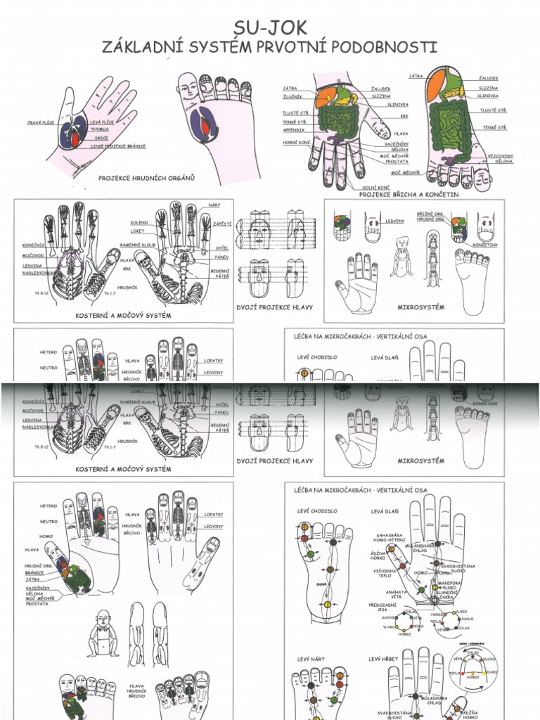 Posters - Acupunture, Reflexology, Su Jok | PDF