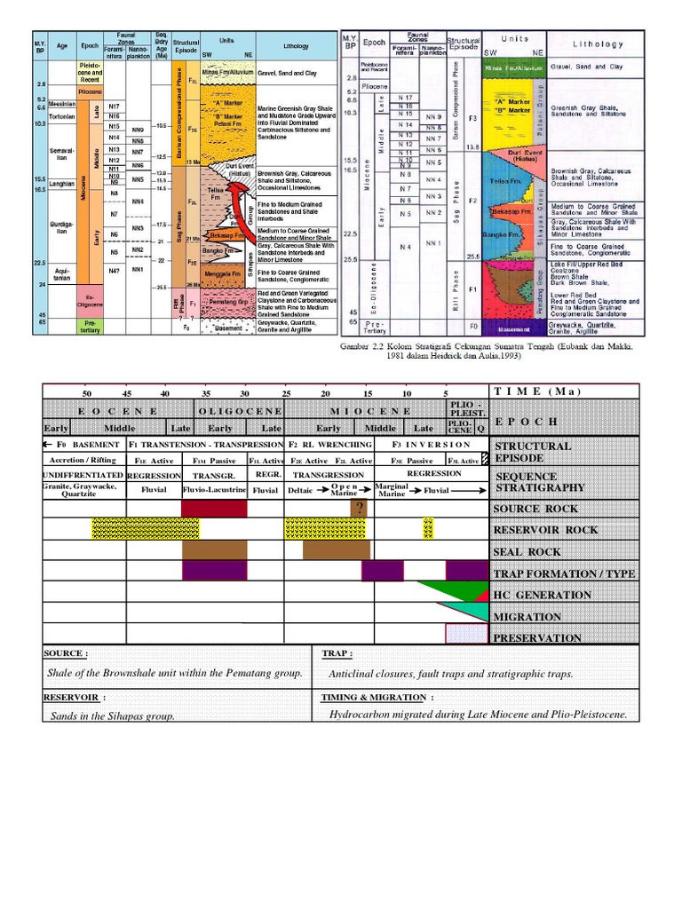 Stratigraphy and Petroleum System Central Sumatra Basin | PDF ...