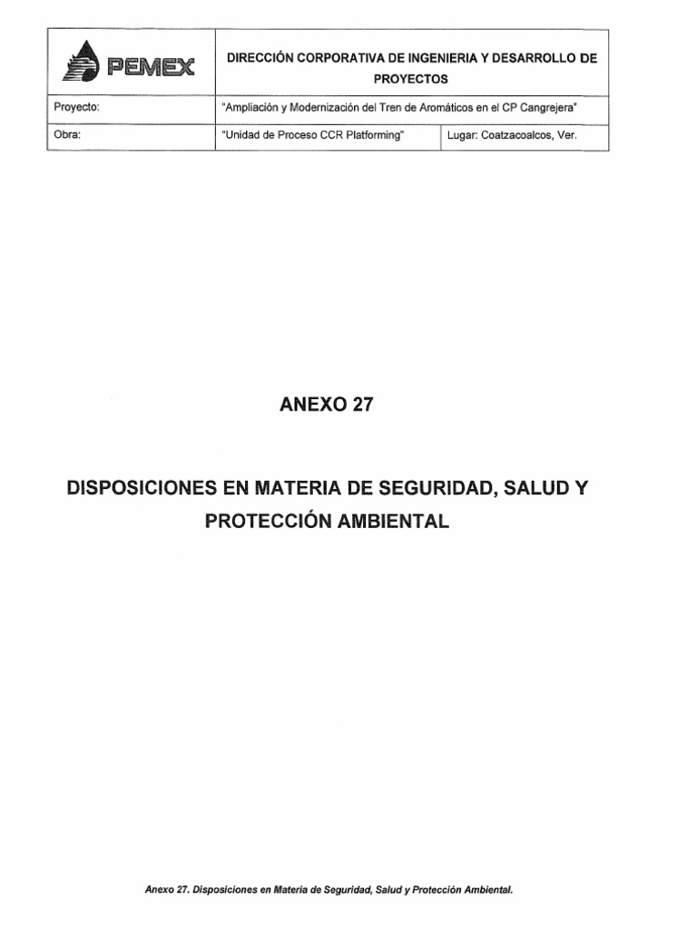ANEXO 27 (Seguridad-Ambiente) | PDF