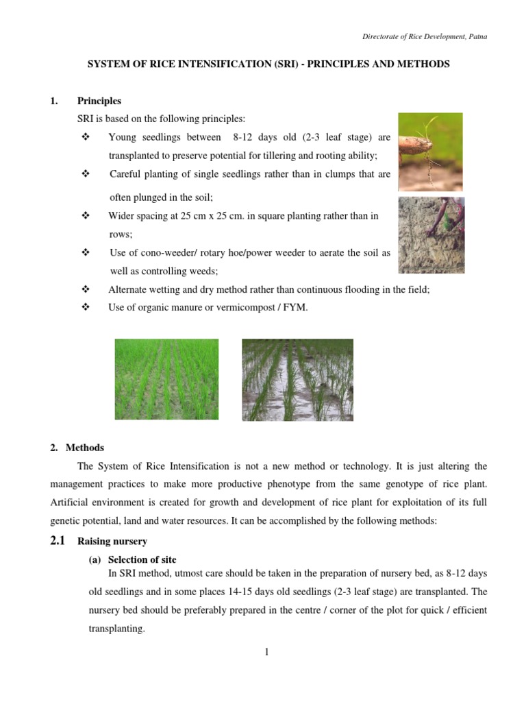SRI Book Part1 | PDF | Seed | Soil