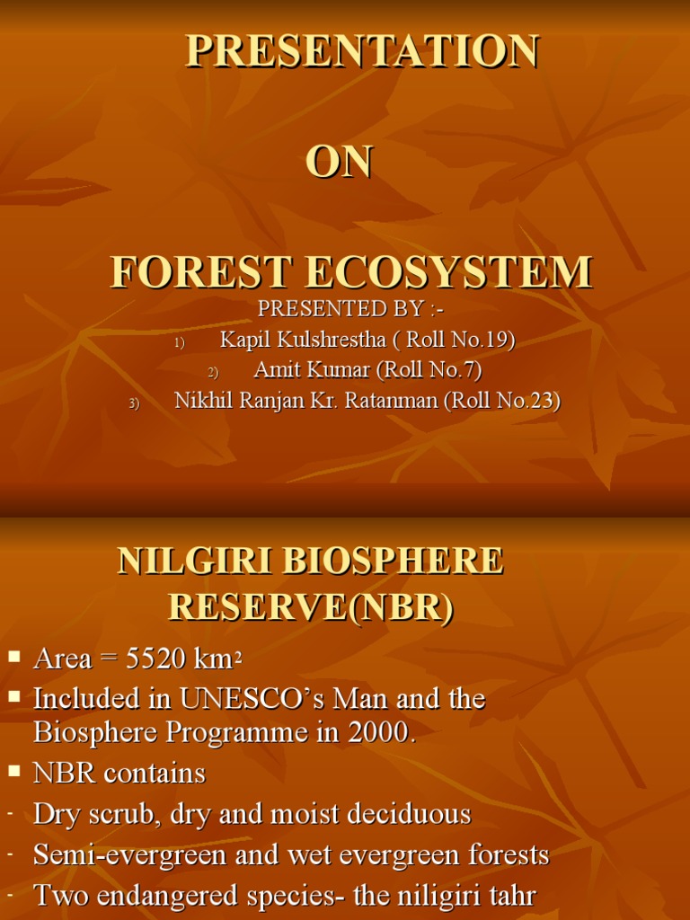 Presentation ON Forest Ecosystem | PDF | Forests | Desert