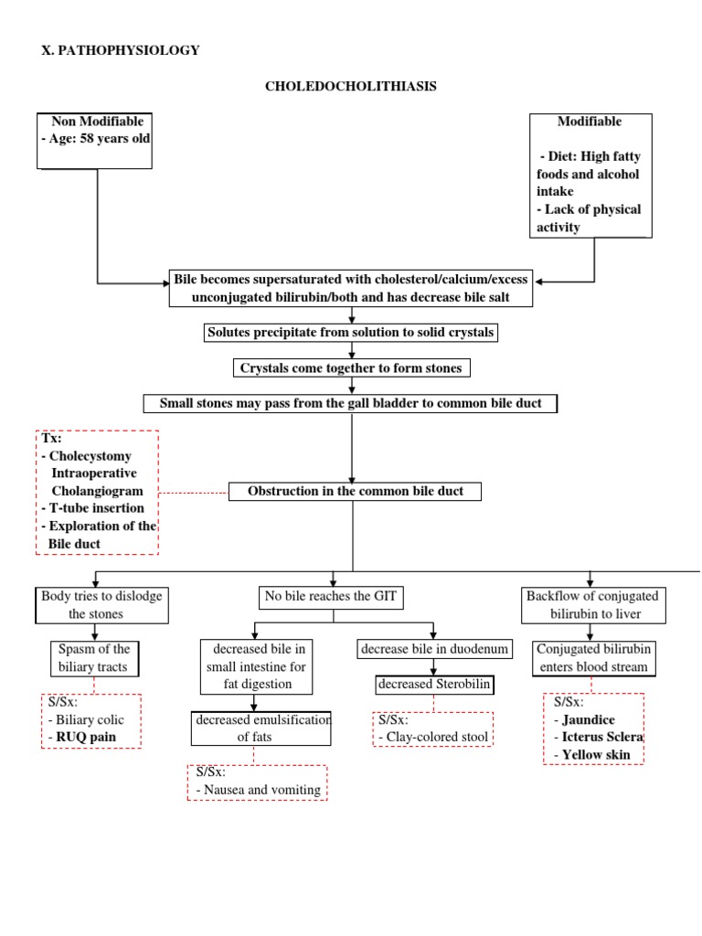 Choledocholithiasis Pathophysiology Overview | PDF | Bile ...