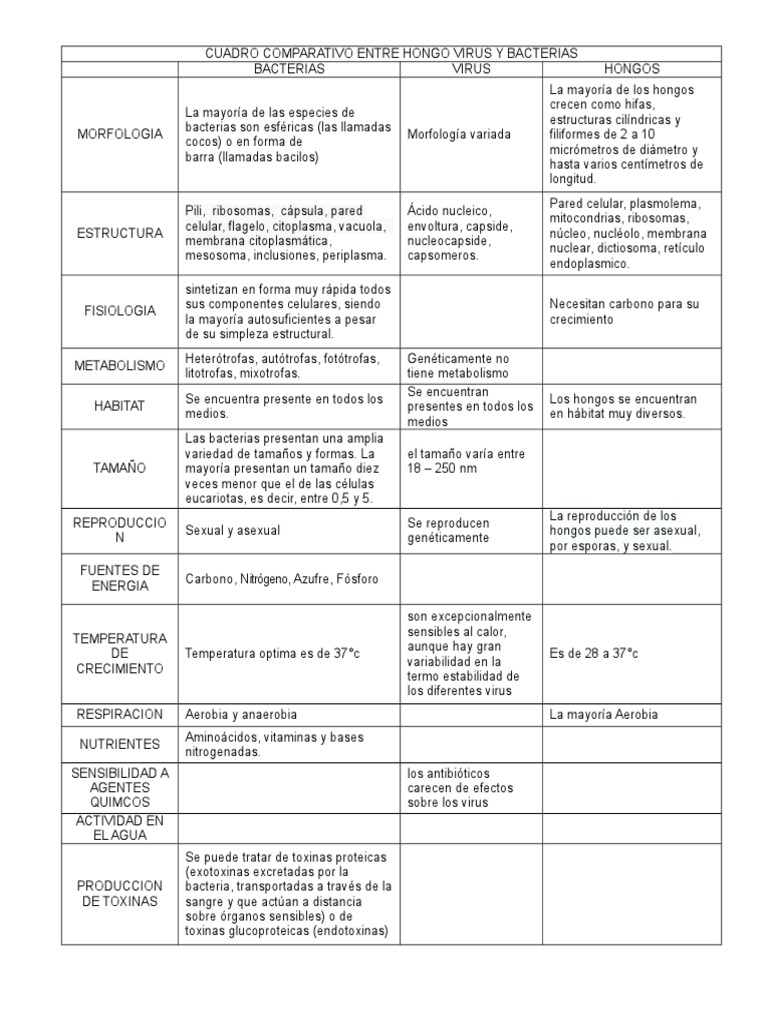 Cuadro Comparativo Entre Hongos Virus y Bacterias | Las bacterias | Citoplasma