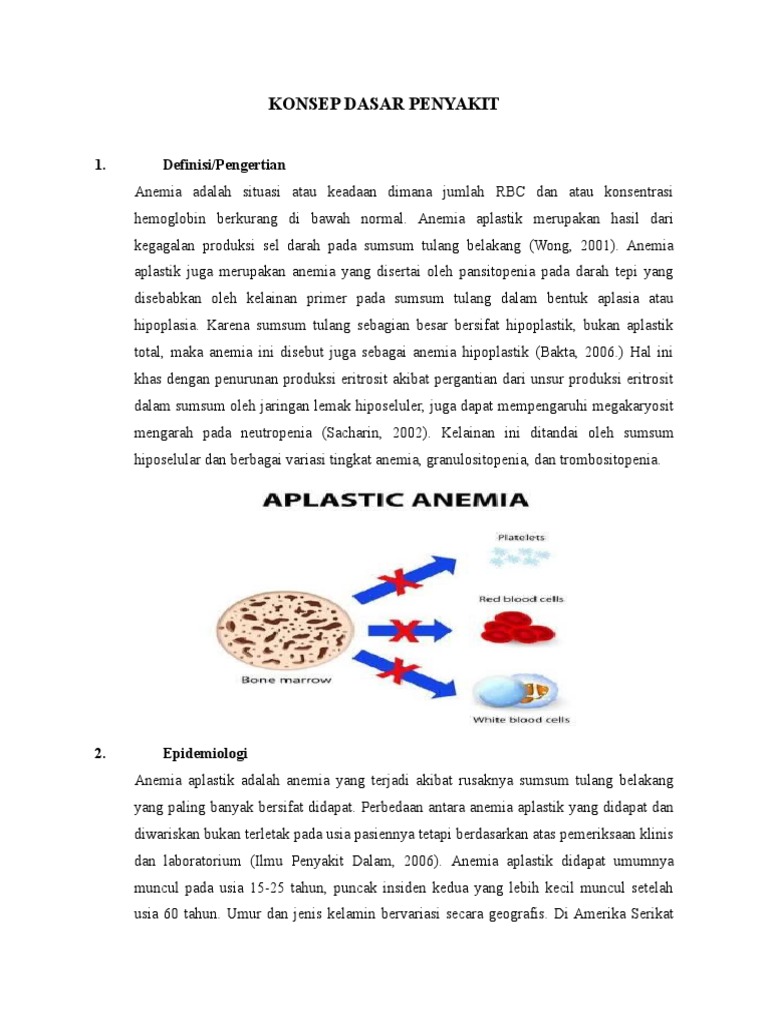 LP Anemia Aplastik New | PDF