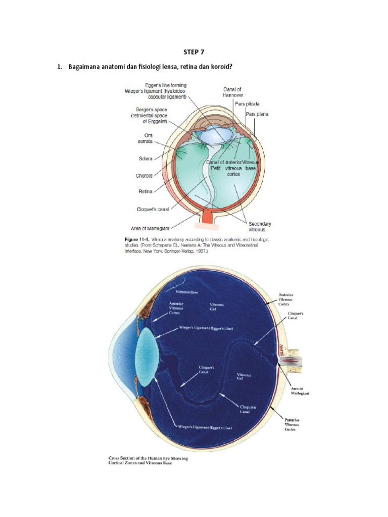 AVICENNIA LBM 4 Mata SGD 20 | PDF | Cataract | Retina