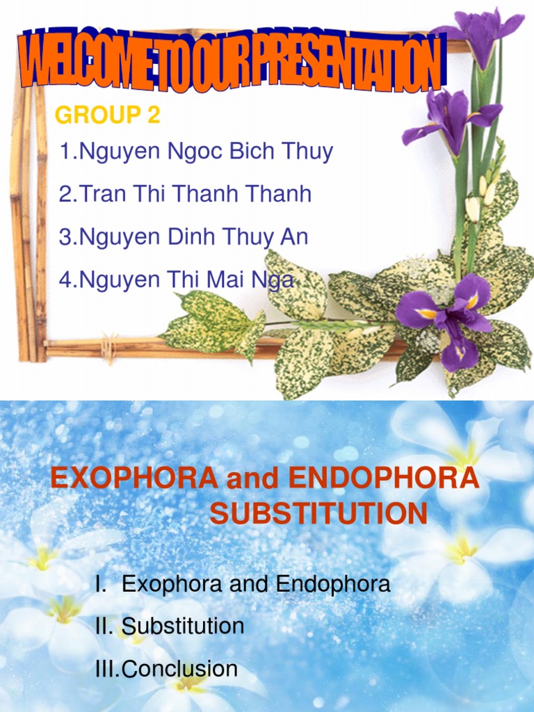 Exophora, Endophora, Substitution | PDF | Semantics | Grammar