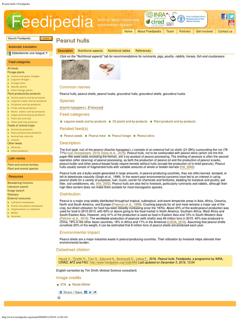 Peanut Hulls Feedipedia | PDF | Peanuts | Animal Feed
