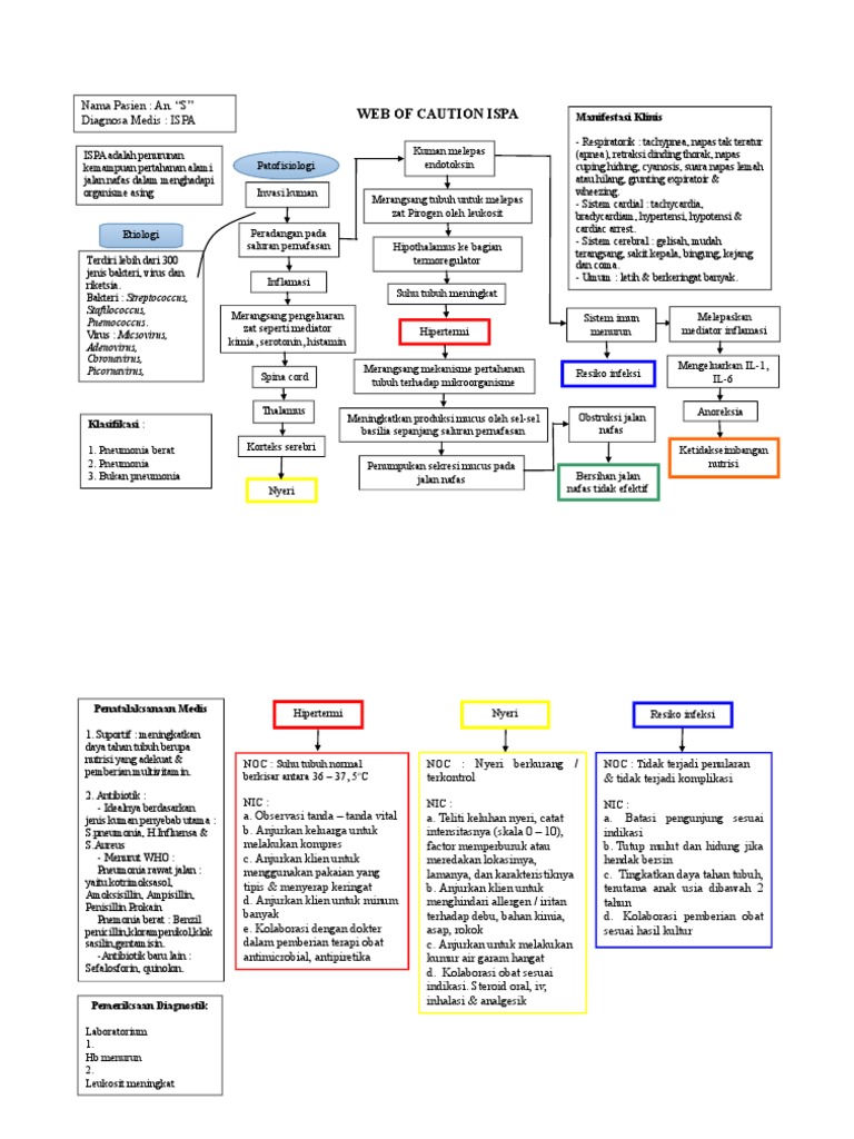 WOC ISPA Puskesmas | PDF