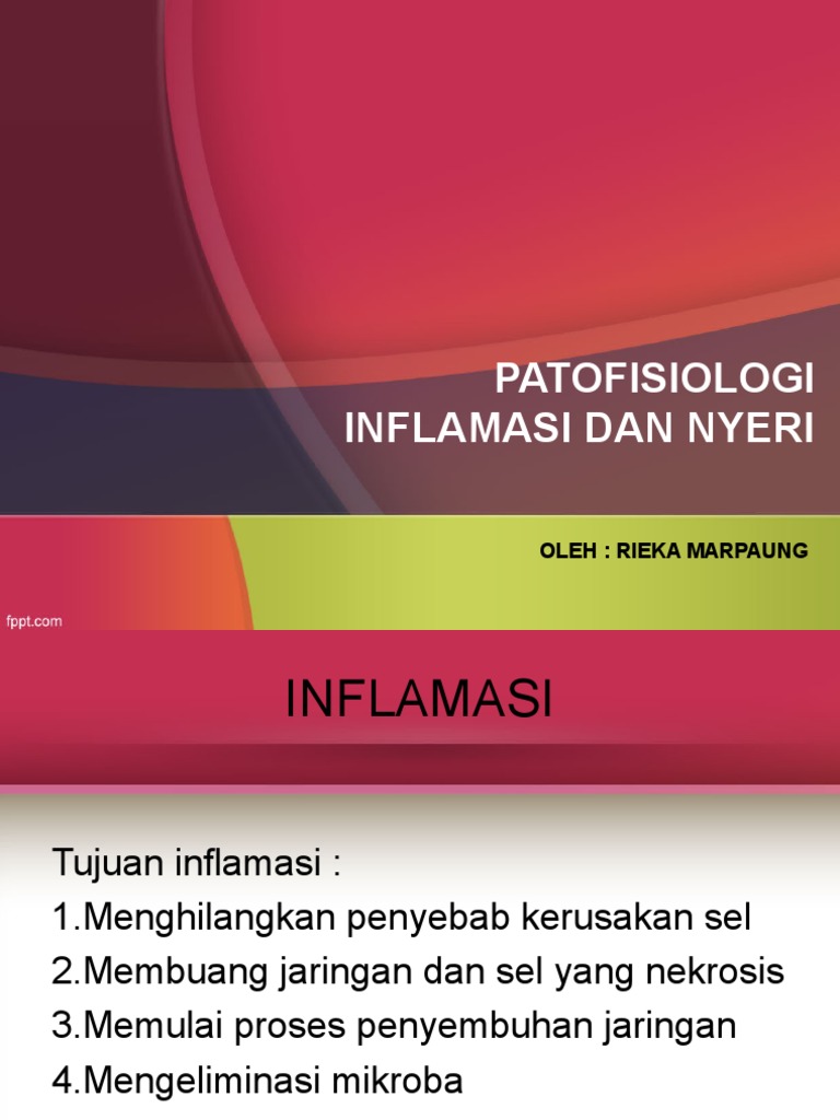Patofisiologi Inflamasi dan Nyeri | PDF