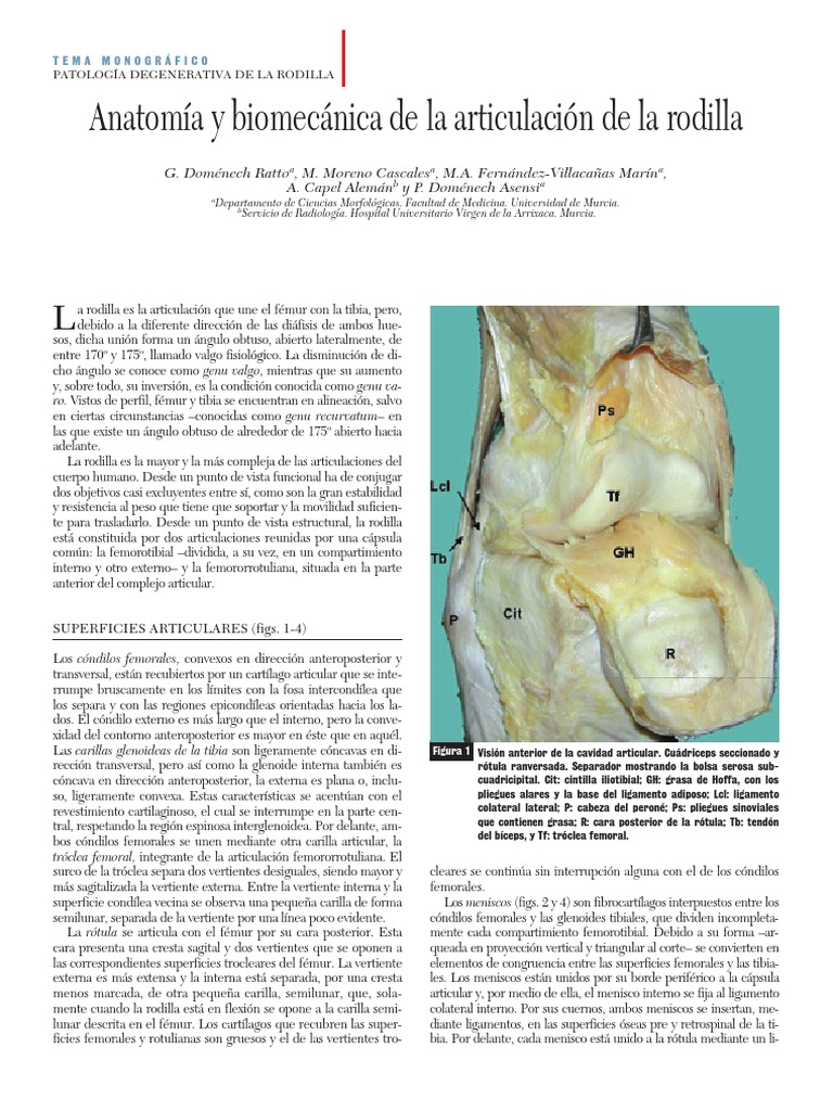 Anatomia y Biomecanica de la rodilla.pdf | Knee | Limbs (Anatomy)