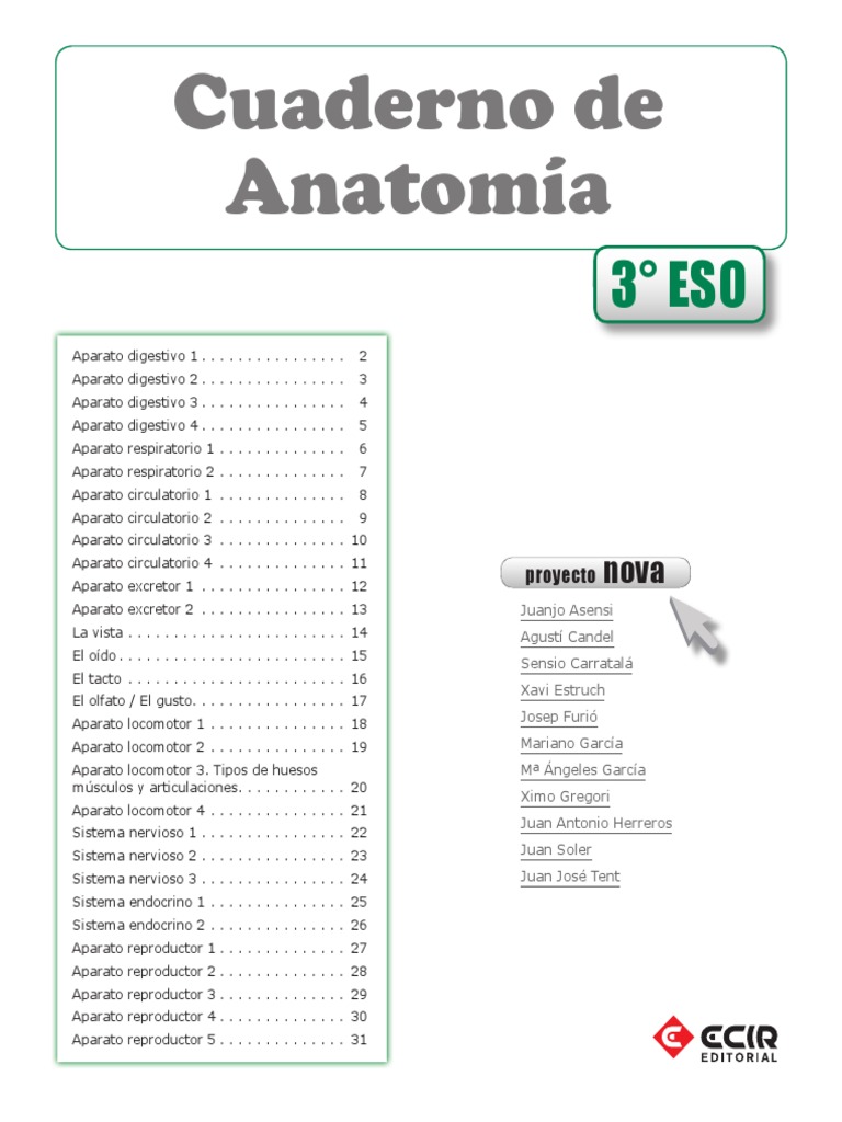 Cuaderno de Anatomia | PDF | Sistema musculoesquelético humano | Zoología