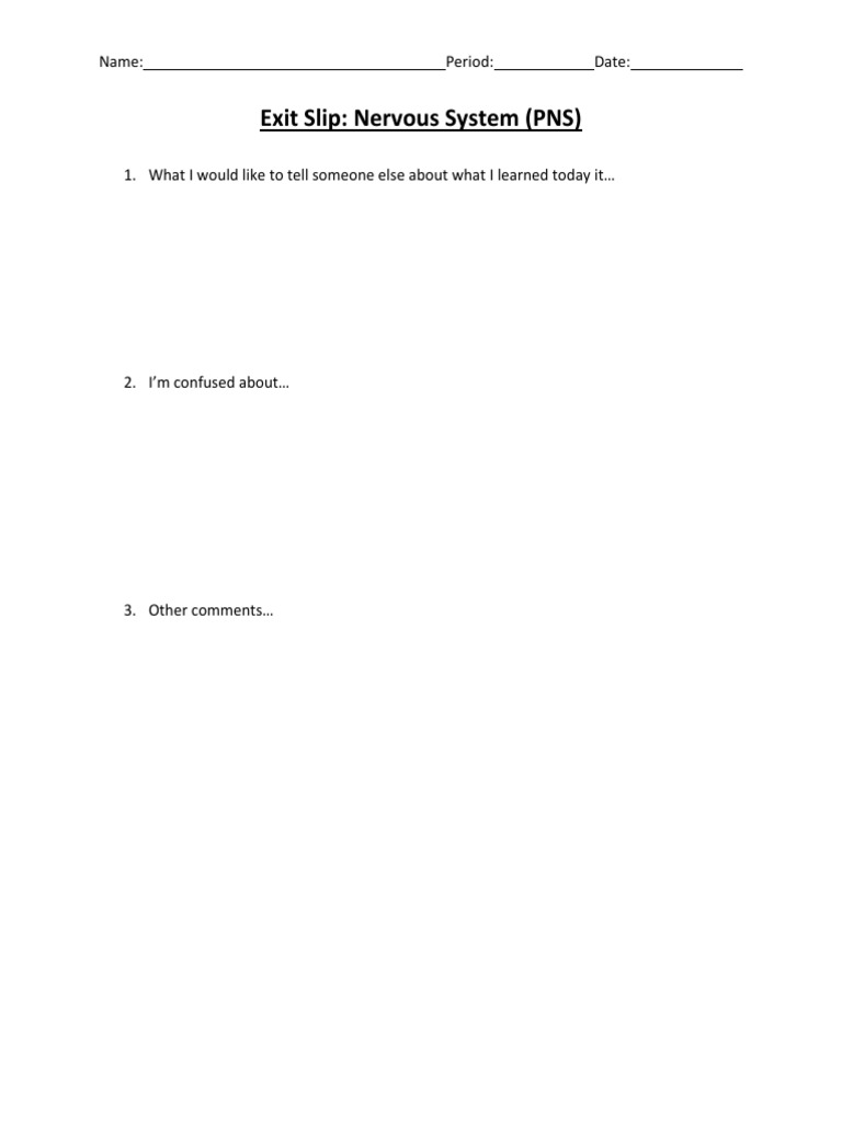 Nervous System Exit Slip | PDF