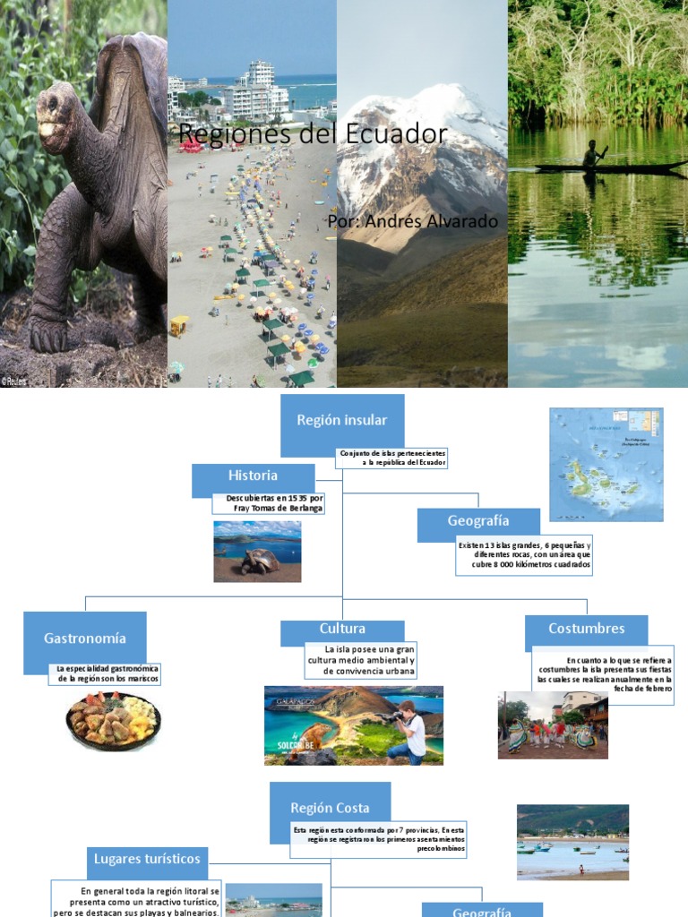 Las cuatro regiones naturales del Ecuador: Insular, Costa, Sierra y ...