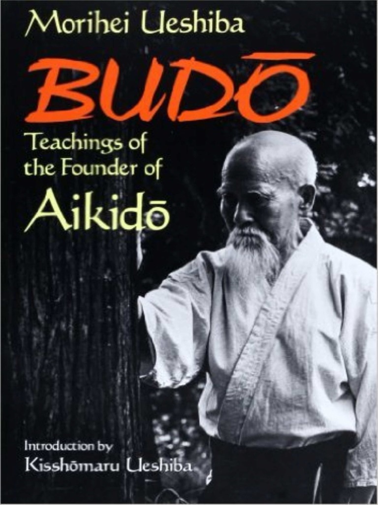 Budo | Aikido | Japanese Martial Arts
