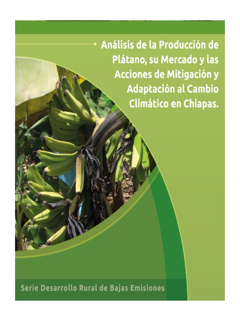 Analisis de La Produccion de Platano | Descargar gratis PDF ...