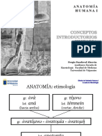 Anatomía en la Antigua India: Orígenes | PDF | Anatomía | Riñón