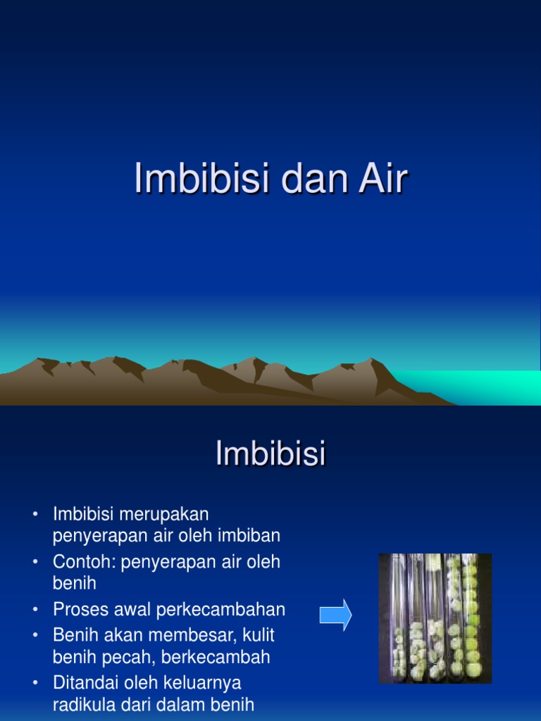 Pertemuan 3 (Imbibisi Dan Air) | PDF