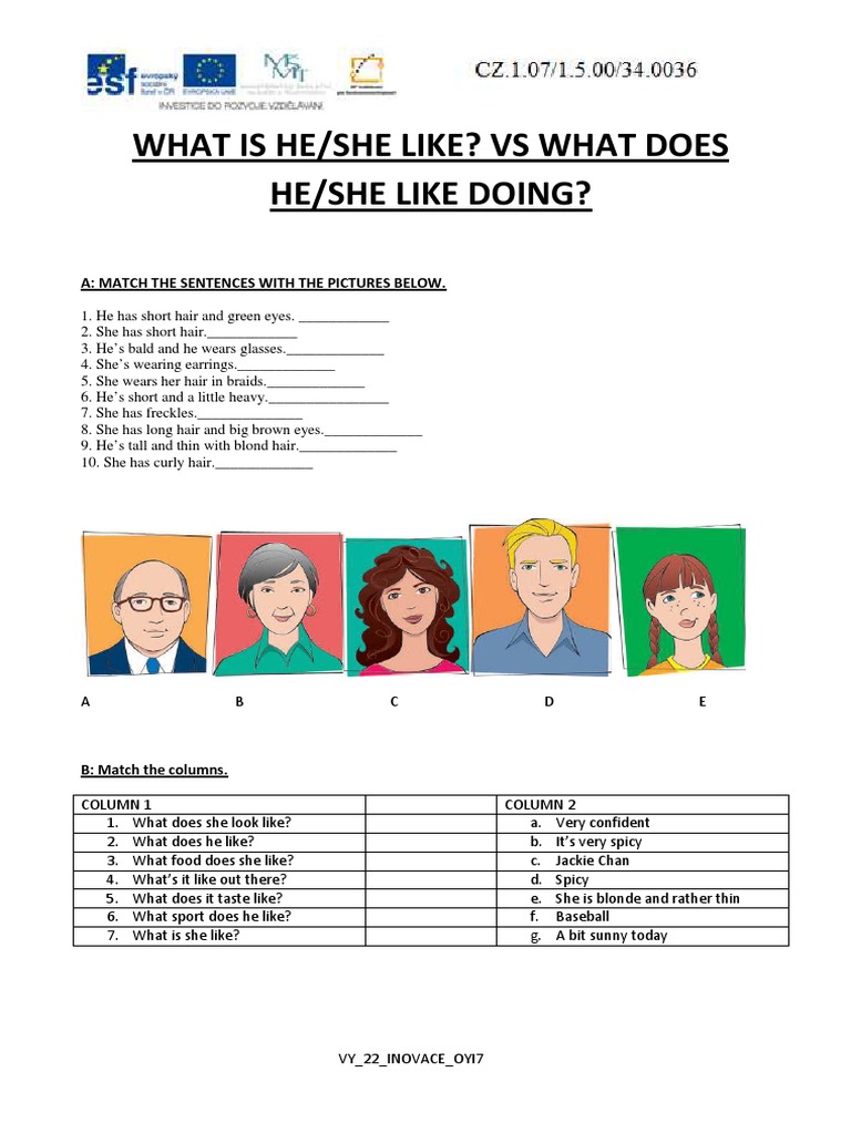 What is he/she like vs what does he/she like doing | PDF