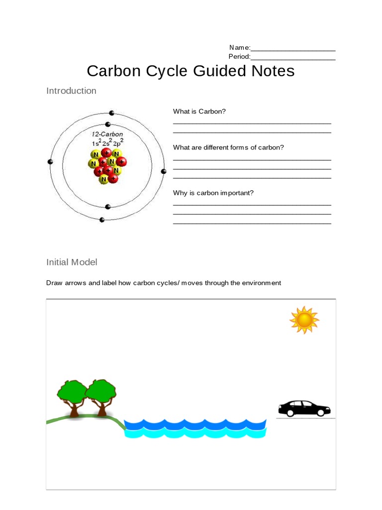 Carbon Cycle Guided Notes | PDF | Carbon Cycle | Natural Environment