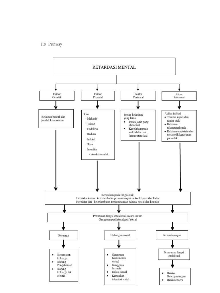 Pathway Retardasi Mental pada Anak | PDF