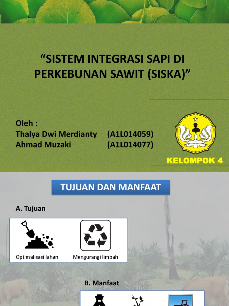 Sistem Integrasi Sapi Di Perkebunan Kelapa Sawit | PDF | Teknologi ...