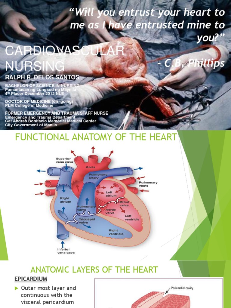 Cardiovascular Nursing | PDF | Heart | Artificial Cardiac Pacemaker