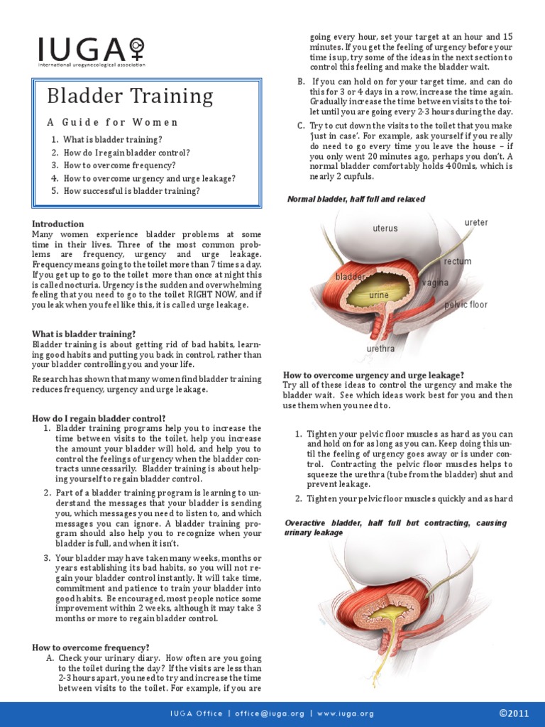 Bladder Training: A Guide For Women | Download Free PDF | Urinary ...