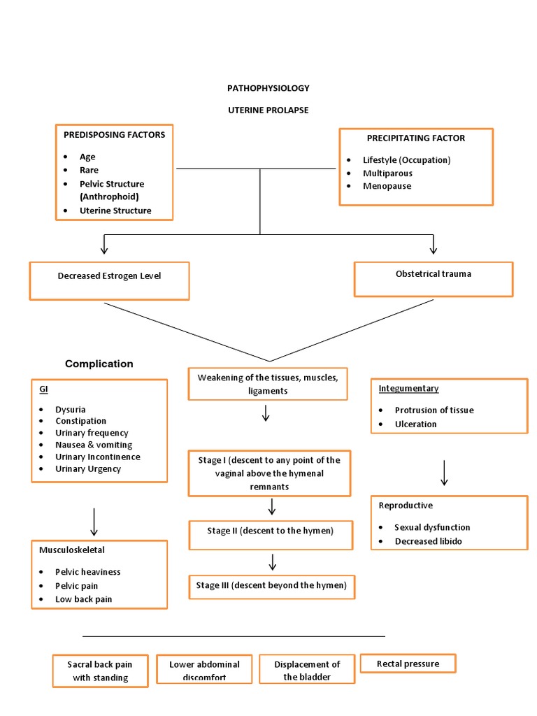 Uterine Prolapse Pathophysiology Overview | PDF