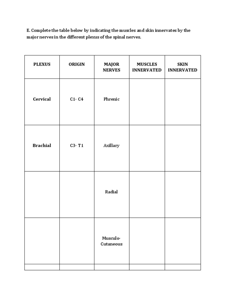 Tables Anatomy | PDF | Human Anatomy | Musculoskeletal System