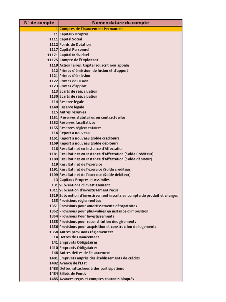 Plans Comptable Marocain Excelss | PDF | Immobilisations | Dépréciation