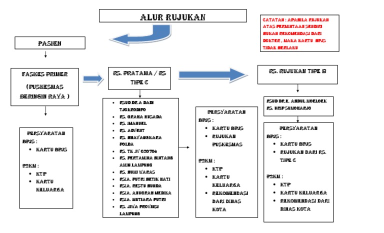 Alur Rujukan | PDF