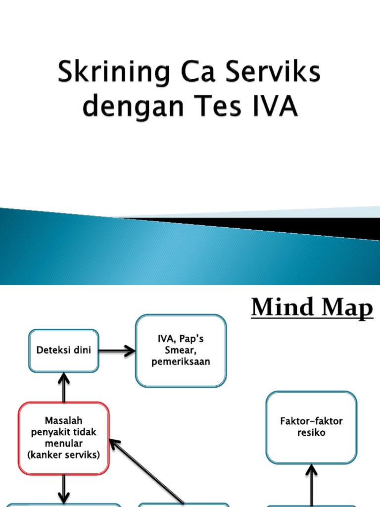 Skenario 5 - IVA Test | PDF