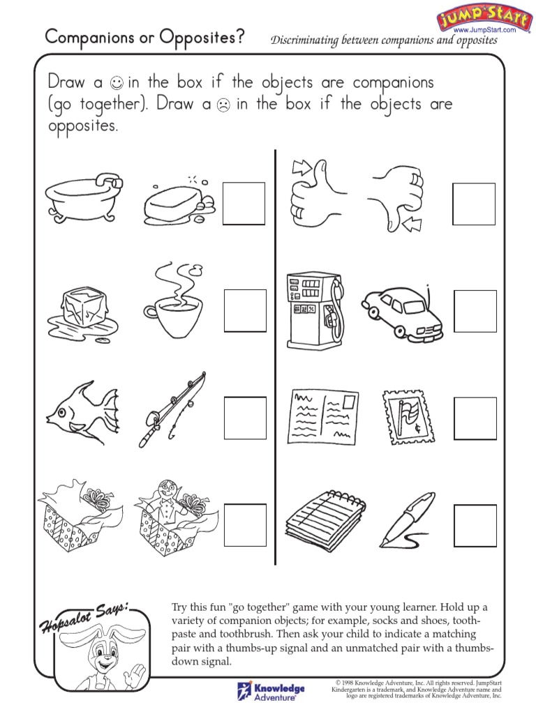 Companions or Opposites | PDF | Games & Activities | Social Science
