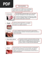 Dobleces | PDF | Ortodoncia | Odontología